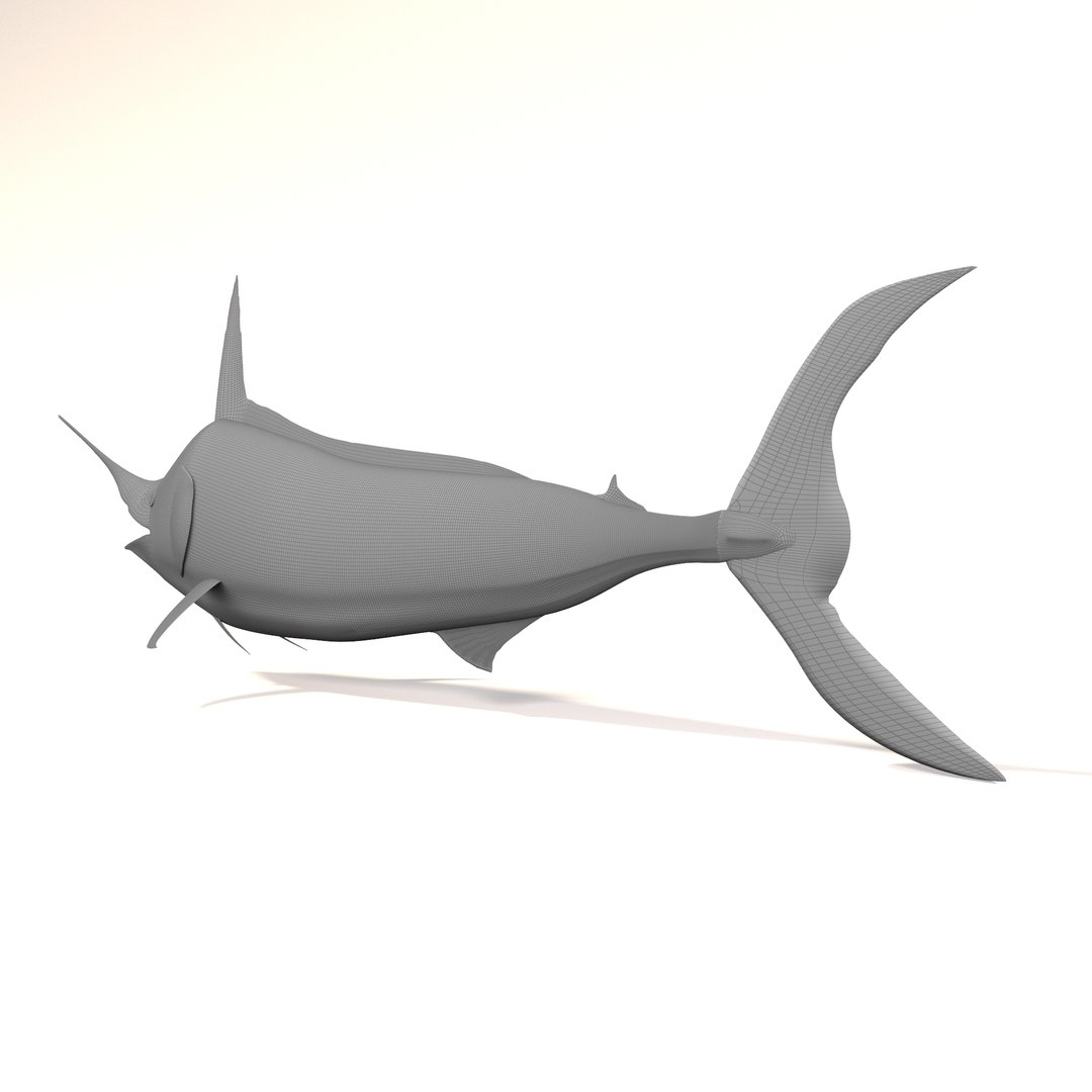 3D Ceramic Swordfish Model - TurboSquid 1894546