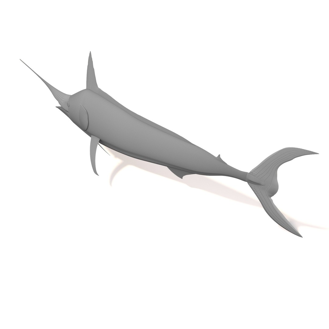 3D Ceramic Swordfish Model - TurboSquid 1894546
