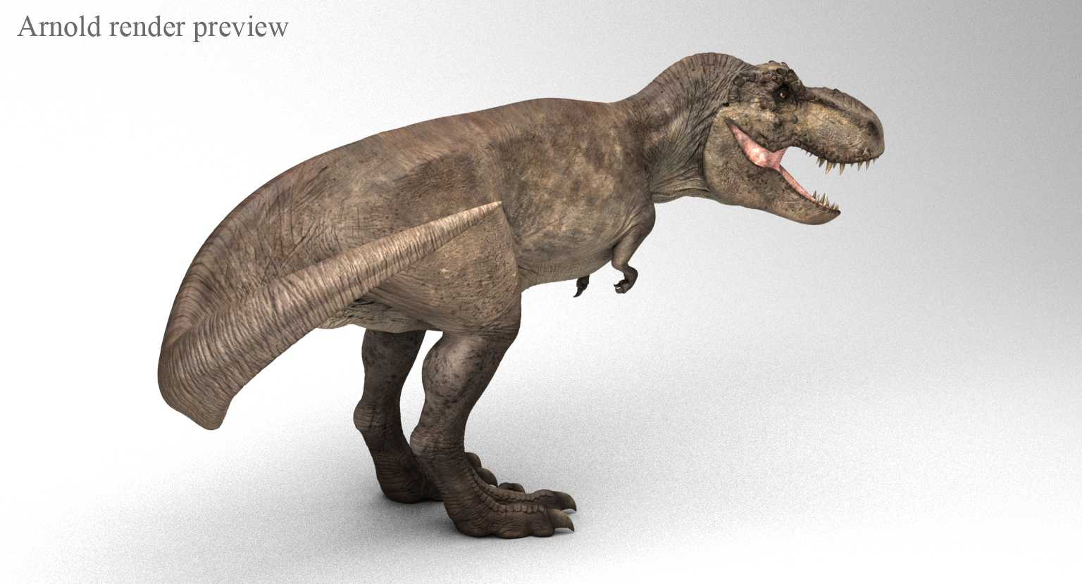 t-rex rig x