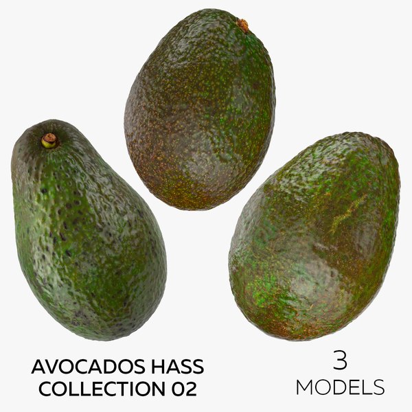 3D Avocados Hass Collection 02 - 3 models model - TurboSquid 1794104