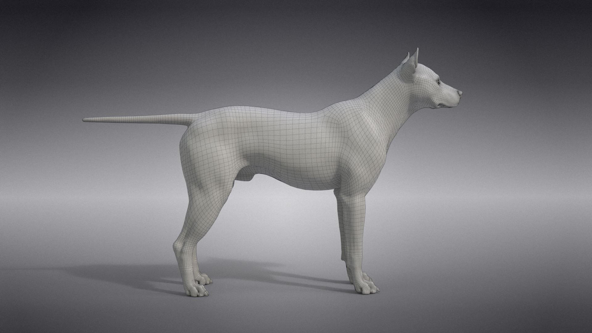 Four-Eyed Dog Animated 3D - TurboSquid 2077289