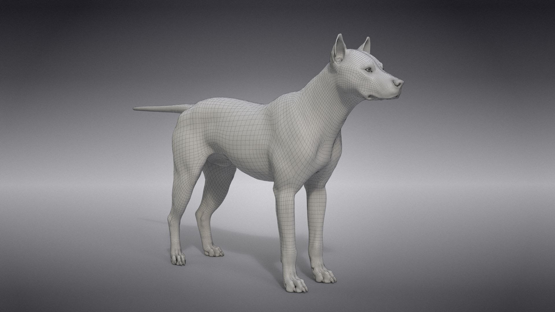 Four-Eyed Dog Animated 3D - TurboSquid 2077289