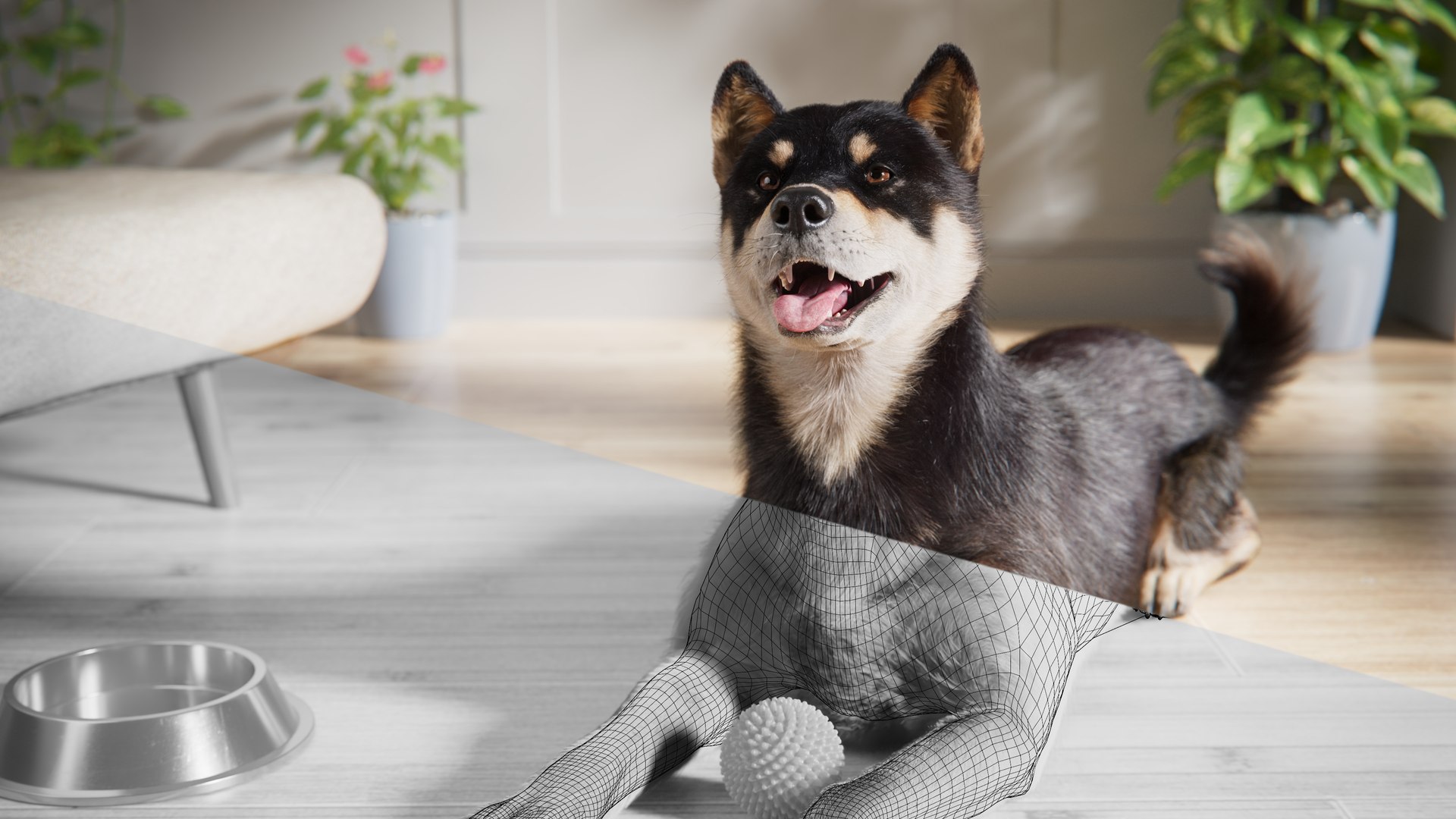 Four-Eyed Dog Animated 3D - TurboSquid 2077289