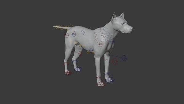 modelo 3d Four-Eyed Dog Animated - TurboSquid 2077289