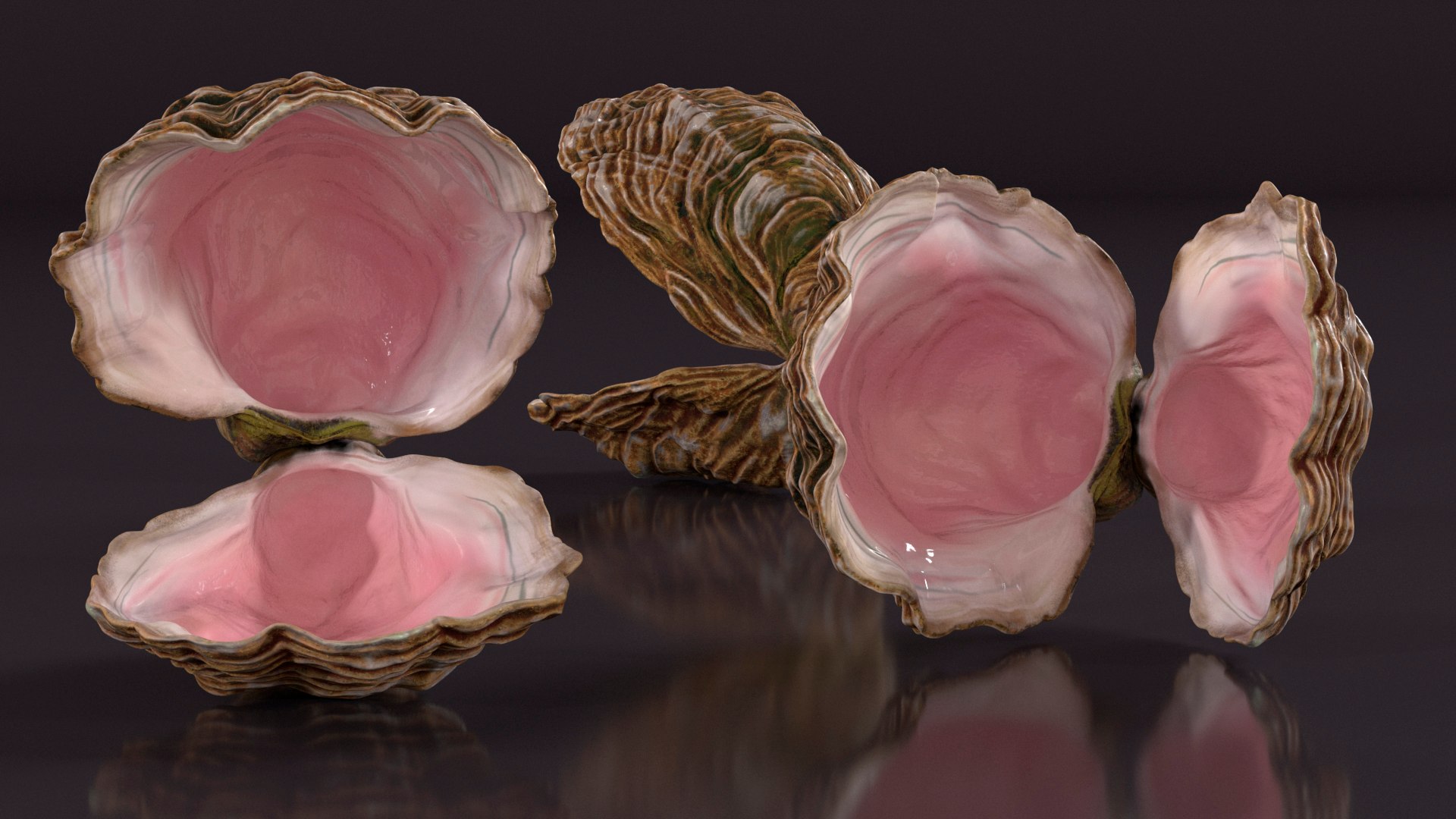 3D Model Open Oyster Shell Colored - TurboSquid 2387158