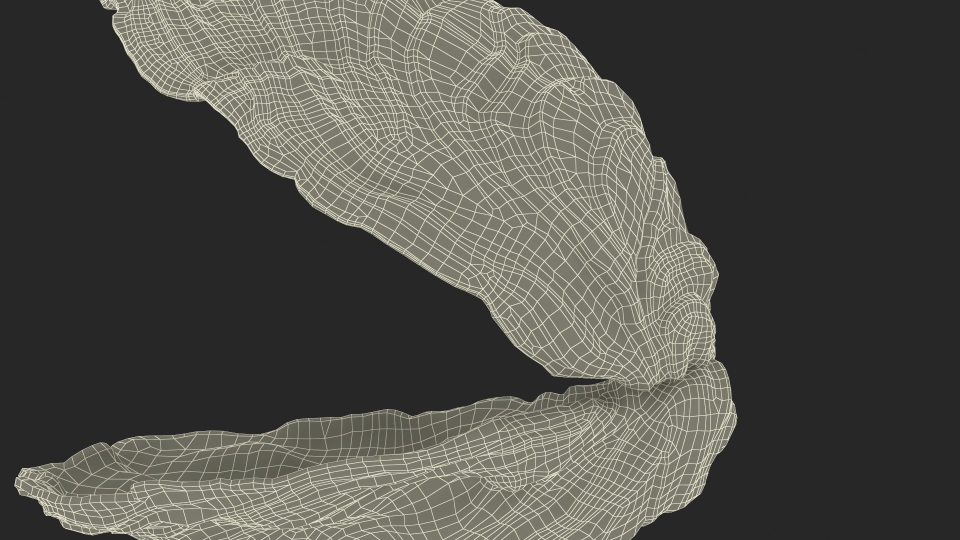 3D Model Open Oyster Shell Colored - TurboSquid 2387158