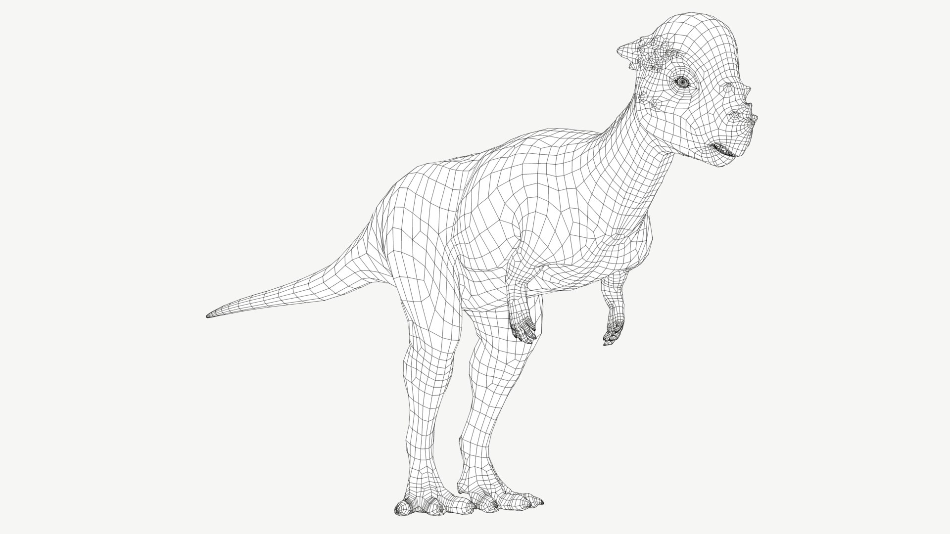 3D dinosaur animal pachycephalosaurus model - TurboSquid 1616138