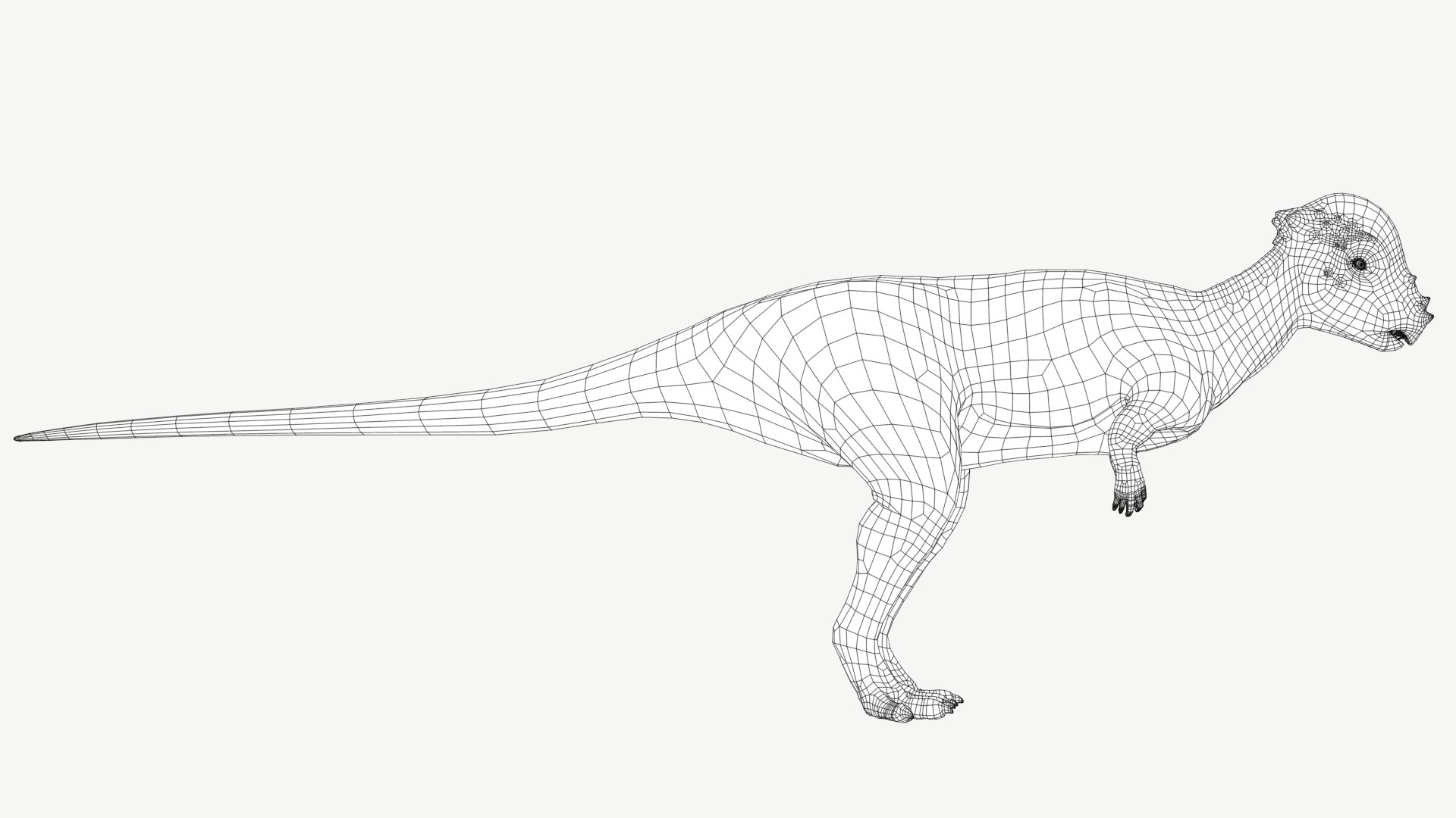 3D dinosaur animal pachycephalosaurus model - TurboSquid 1616138