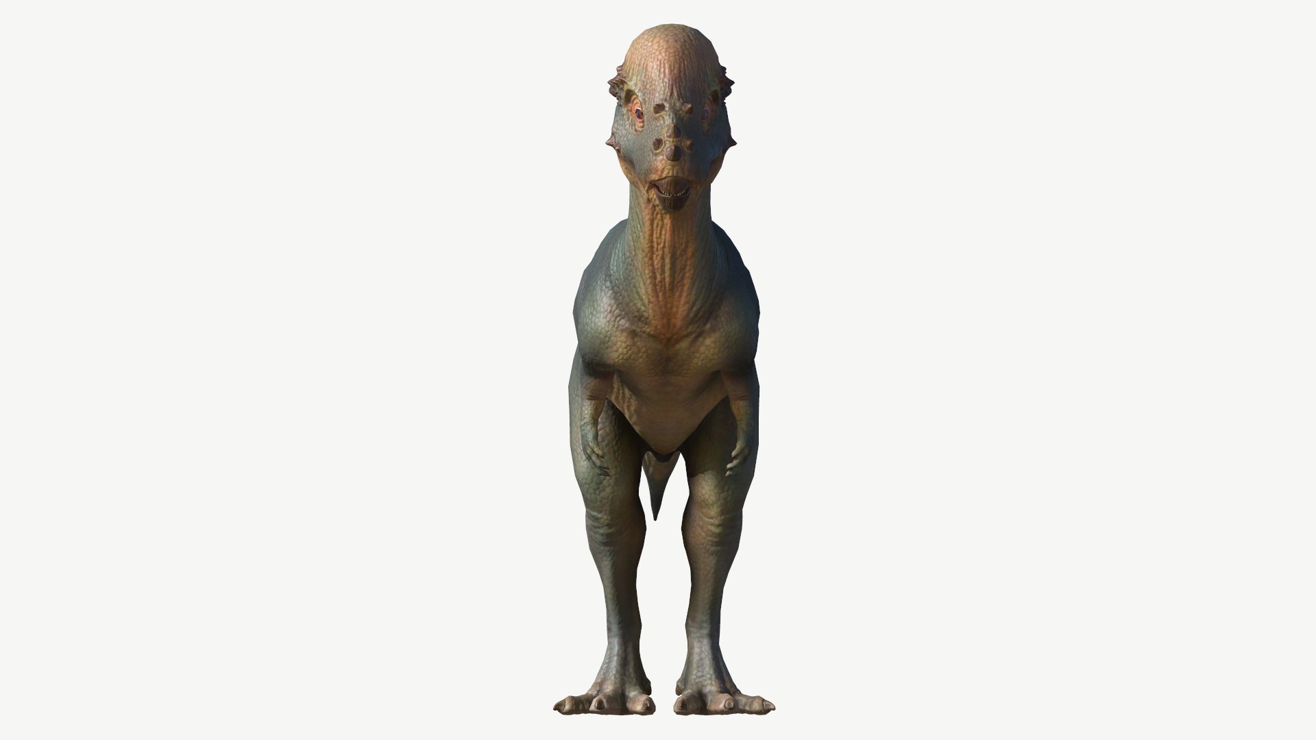 3D dinosaur animal pachycephalosaurus model - TurboSquid 1616138