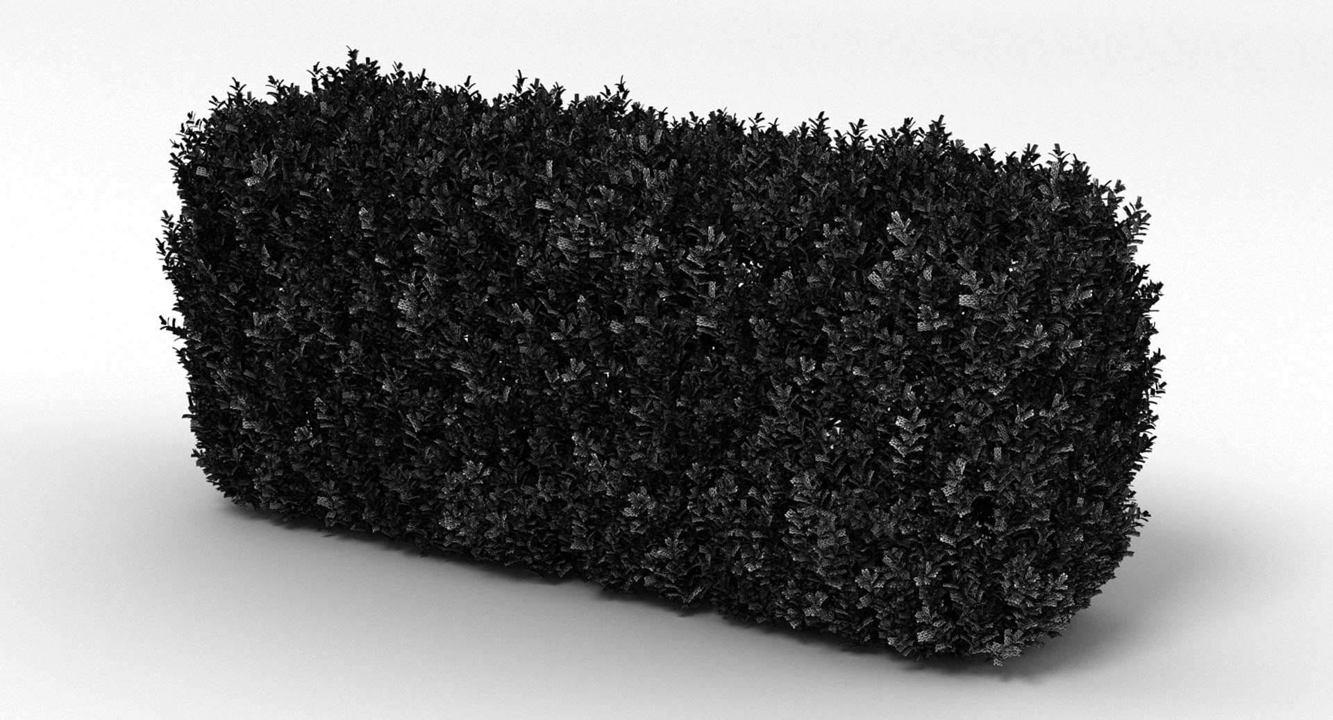 Hedge Realistic 3D - TurboSquid 1198909