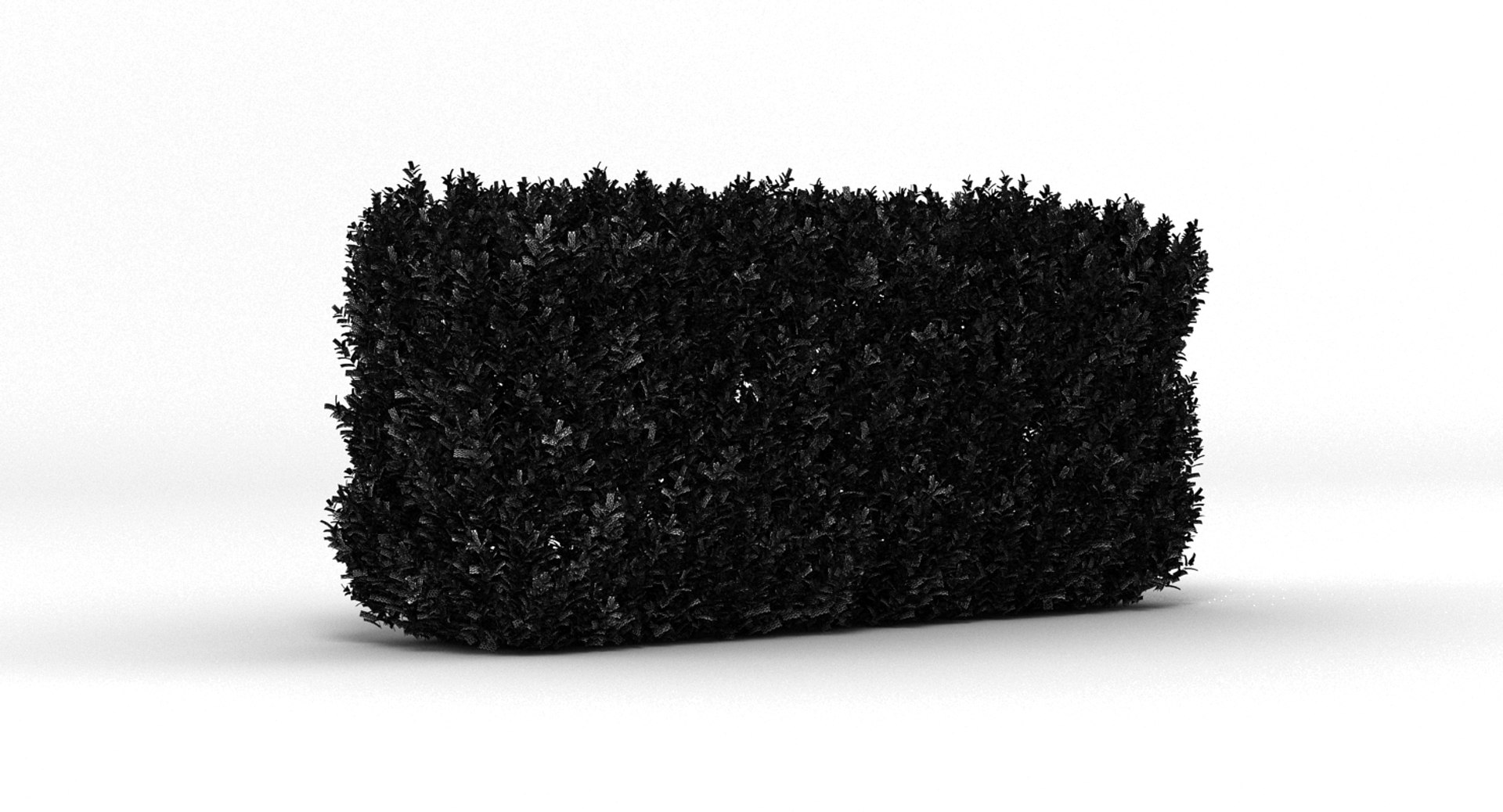 Hedge Realistic 3D - TurboSquid 1198909