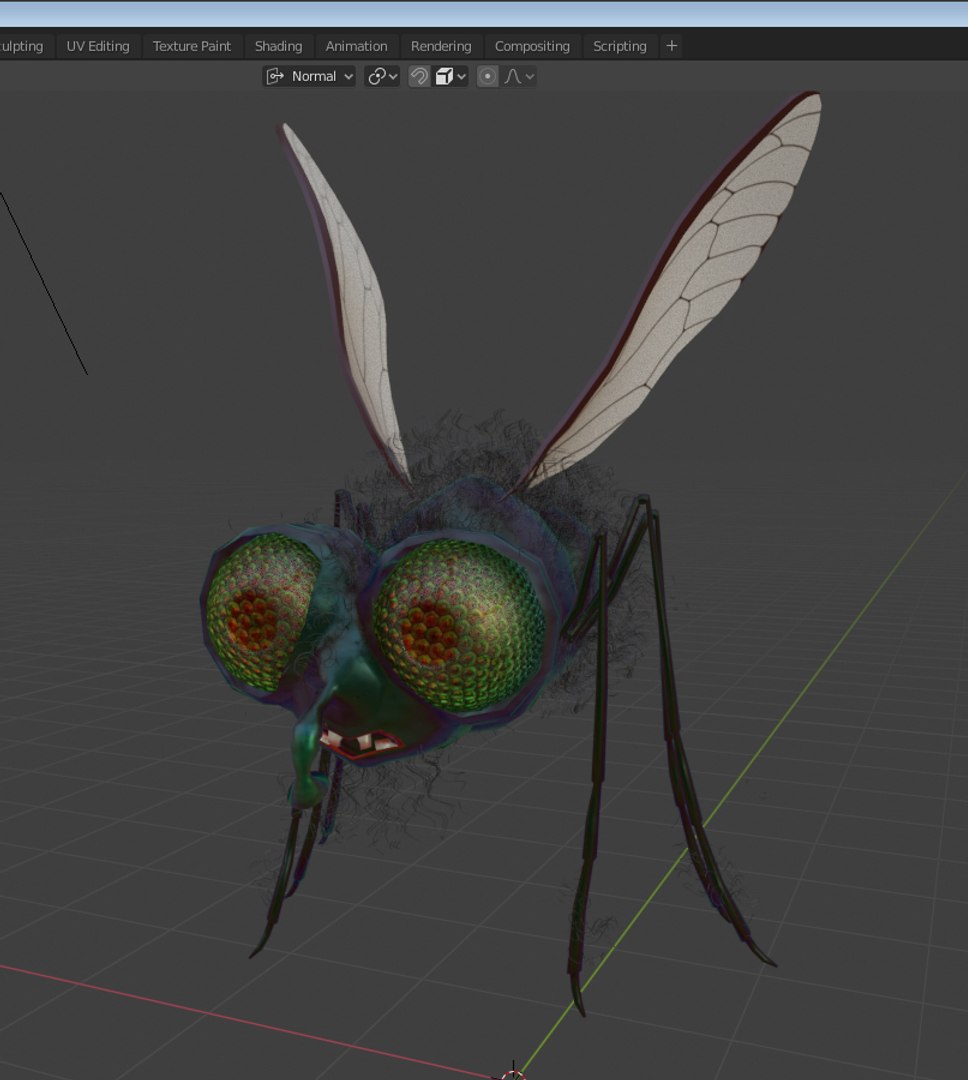 3D Model Fly Rigged - TurboSquid 1484053