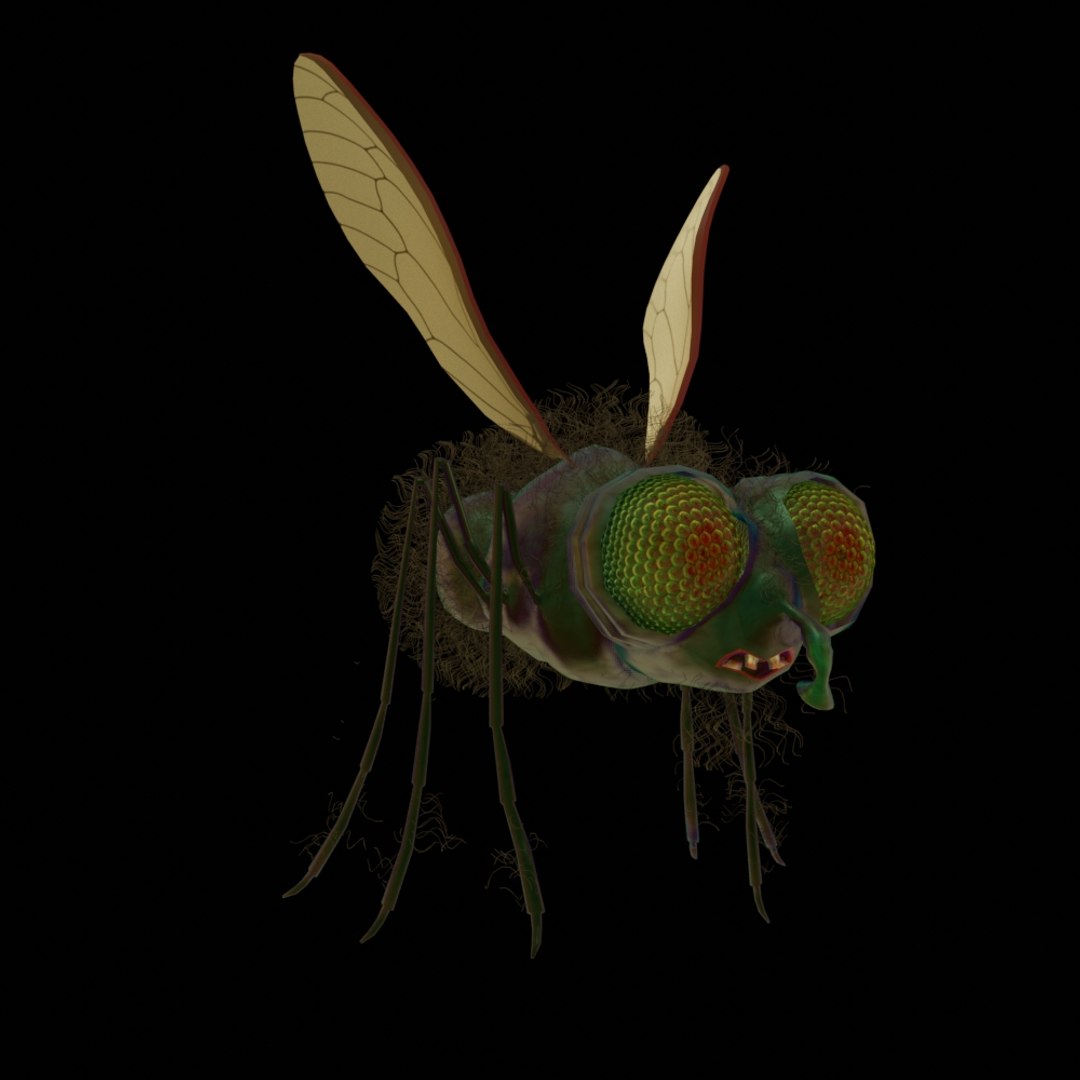 3D Model Fly Rigged - TurboSquid 1484053
