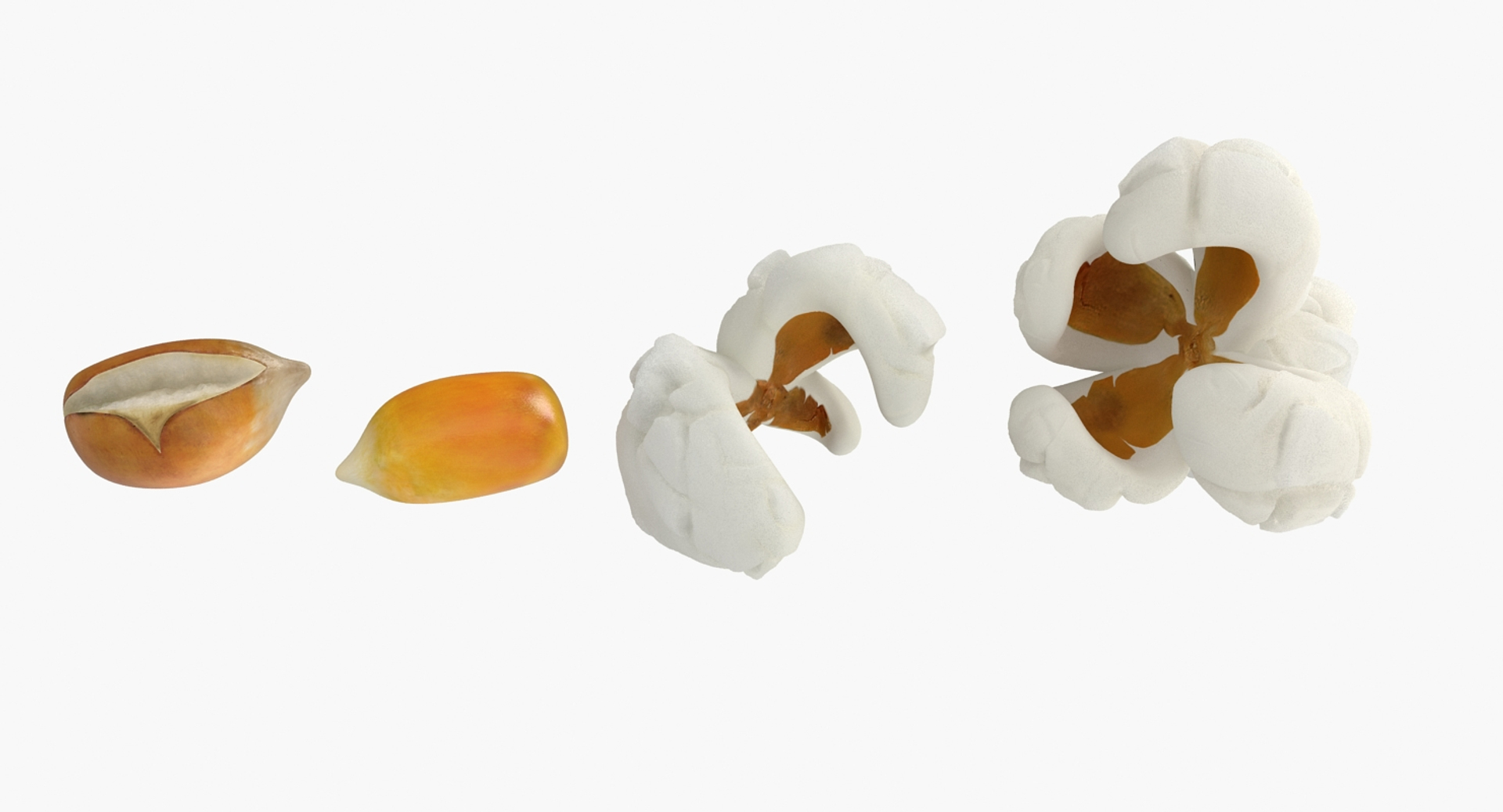 Popcorn Evolution Set C4d