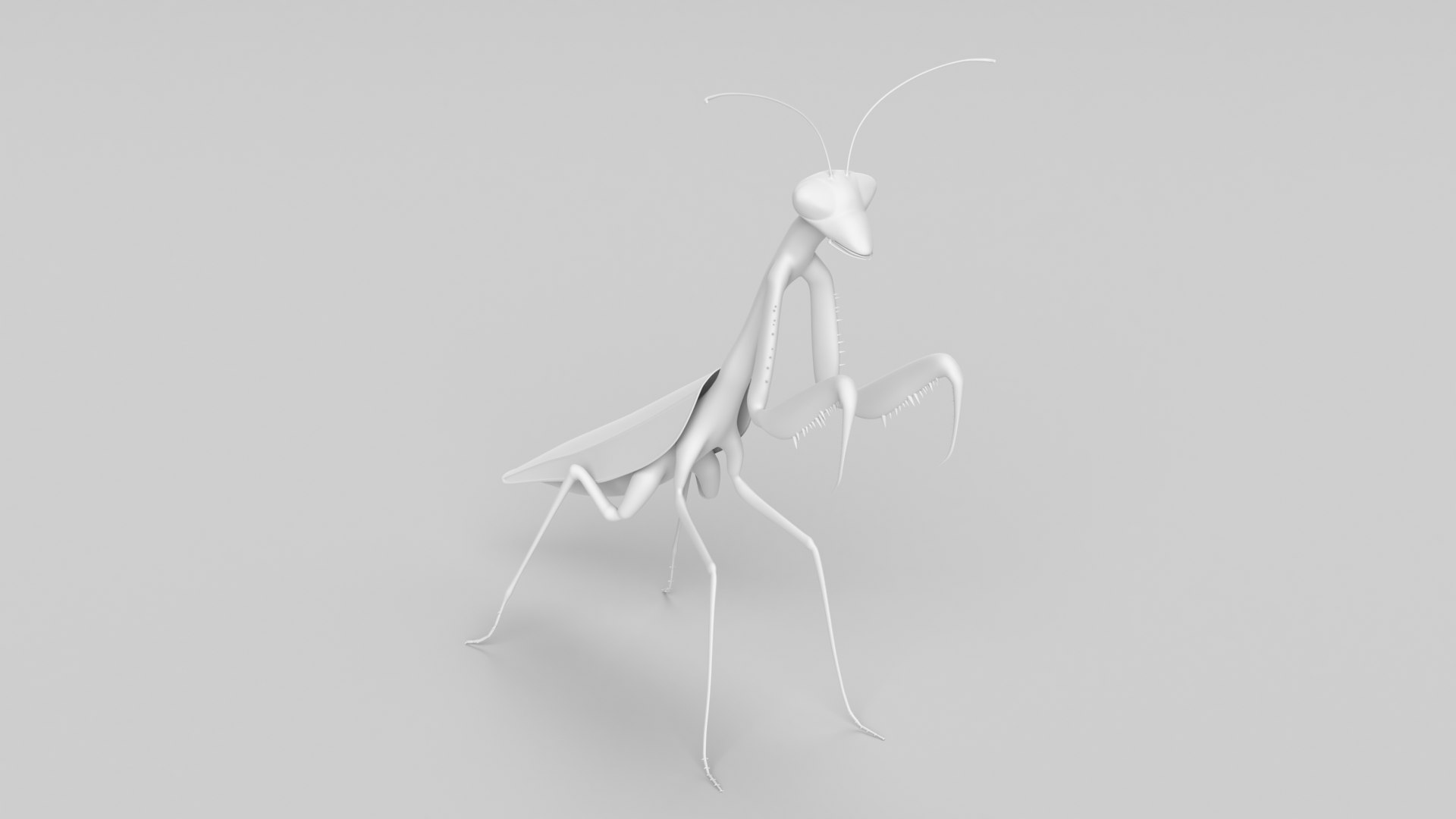 3D Praying Mantis Model - TurboSquid 1698951