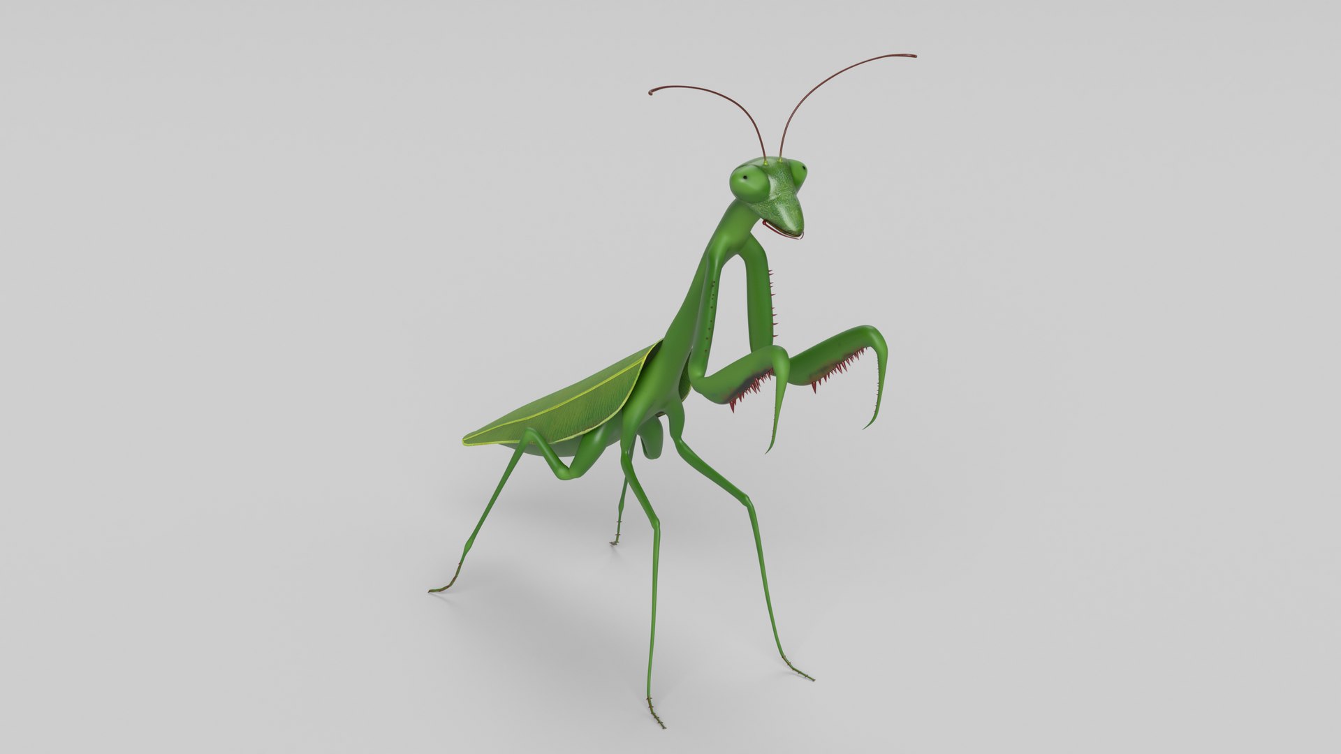3D Praying Mantis Model - TurboSquid 1698951