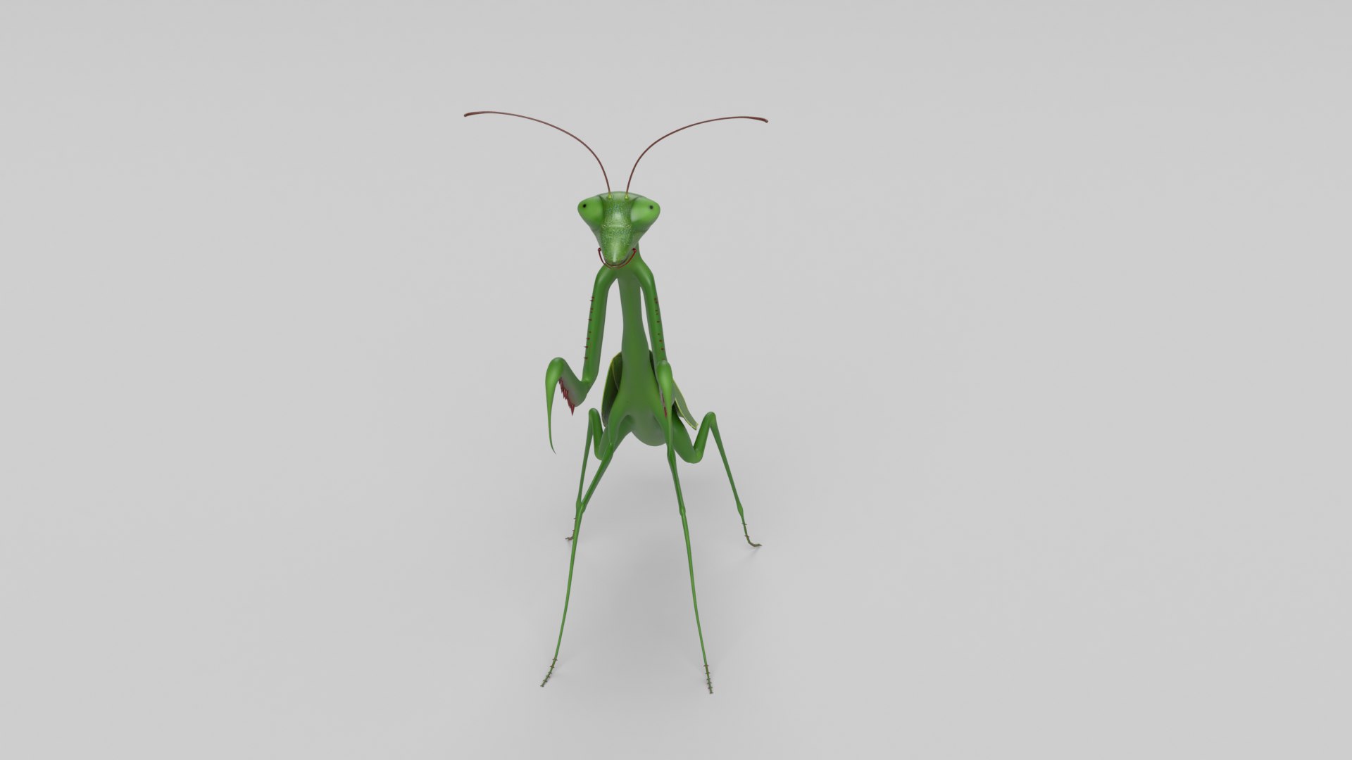 3D Praying Mantis Model - TurboSquid 1698951