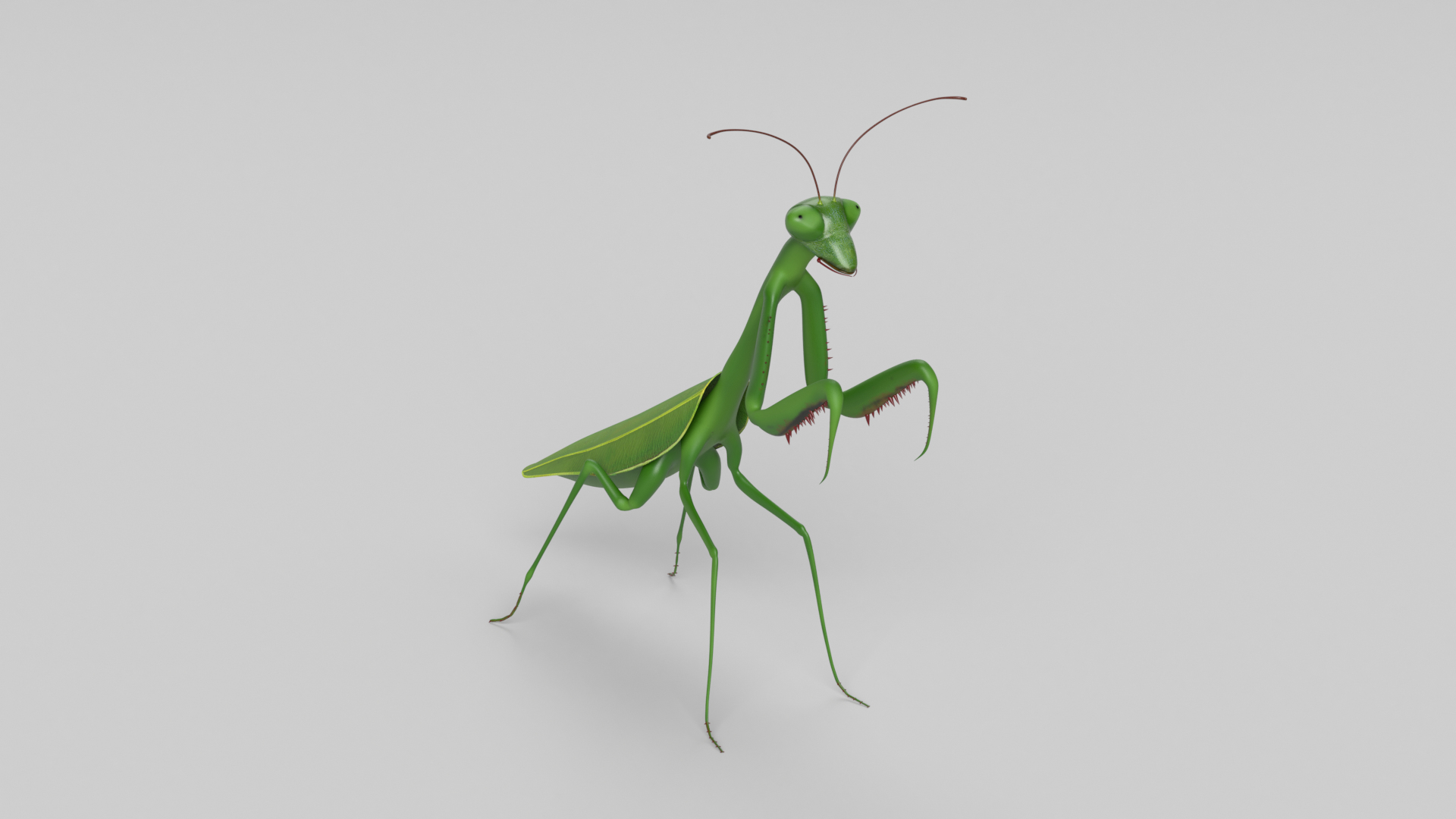 3D Praying Mantis Model - TurboSquid 1698951