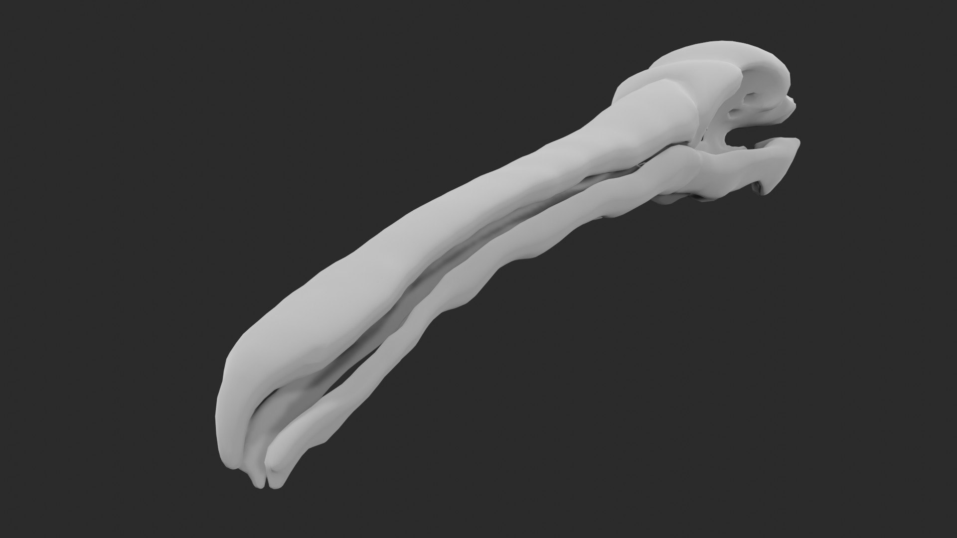 3D Pelican Skull - TurboSquid 1964811