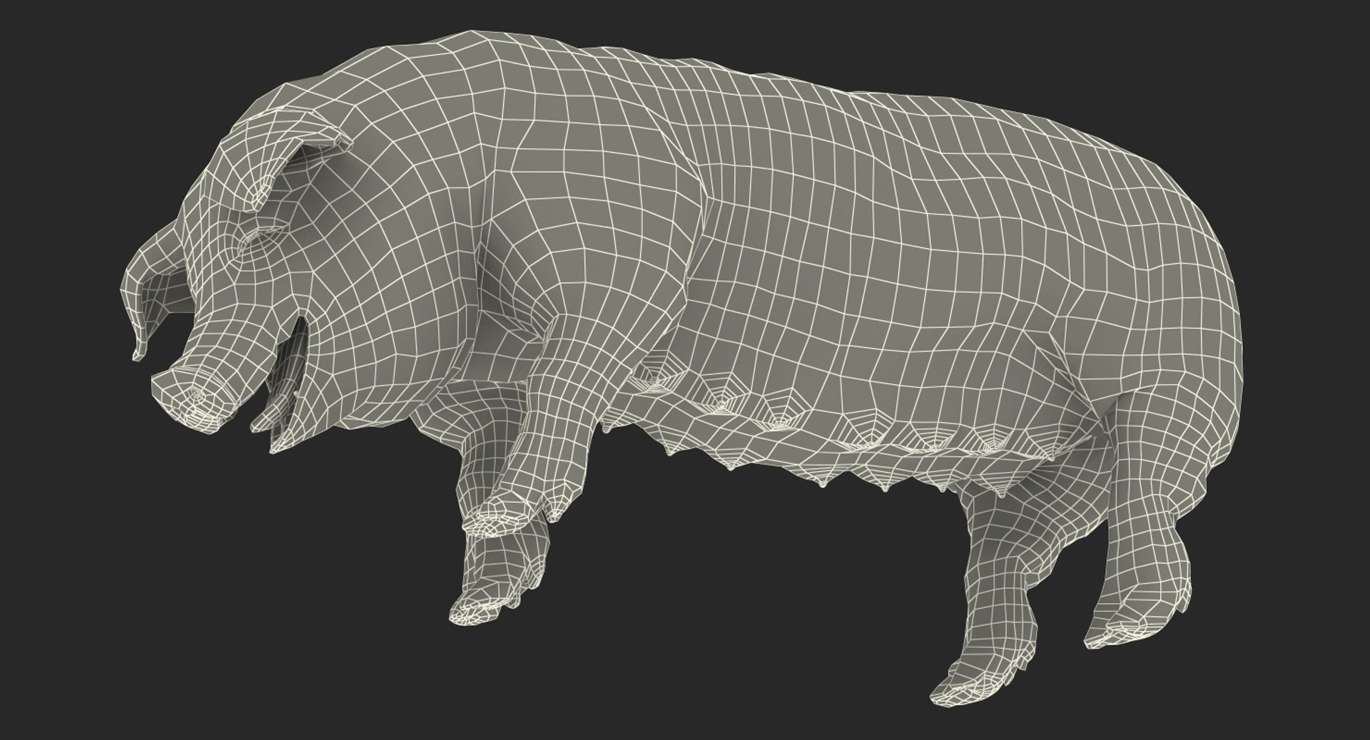 Hampshire Pig Sow Standing 3D Model - TurboSquid 1355719