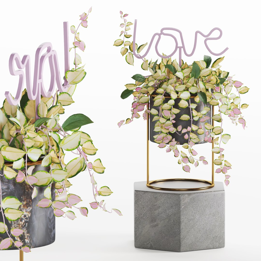 Indoor Plant Valentine Set04 3D - TurboSquid 2188231