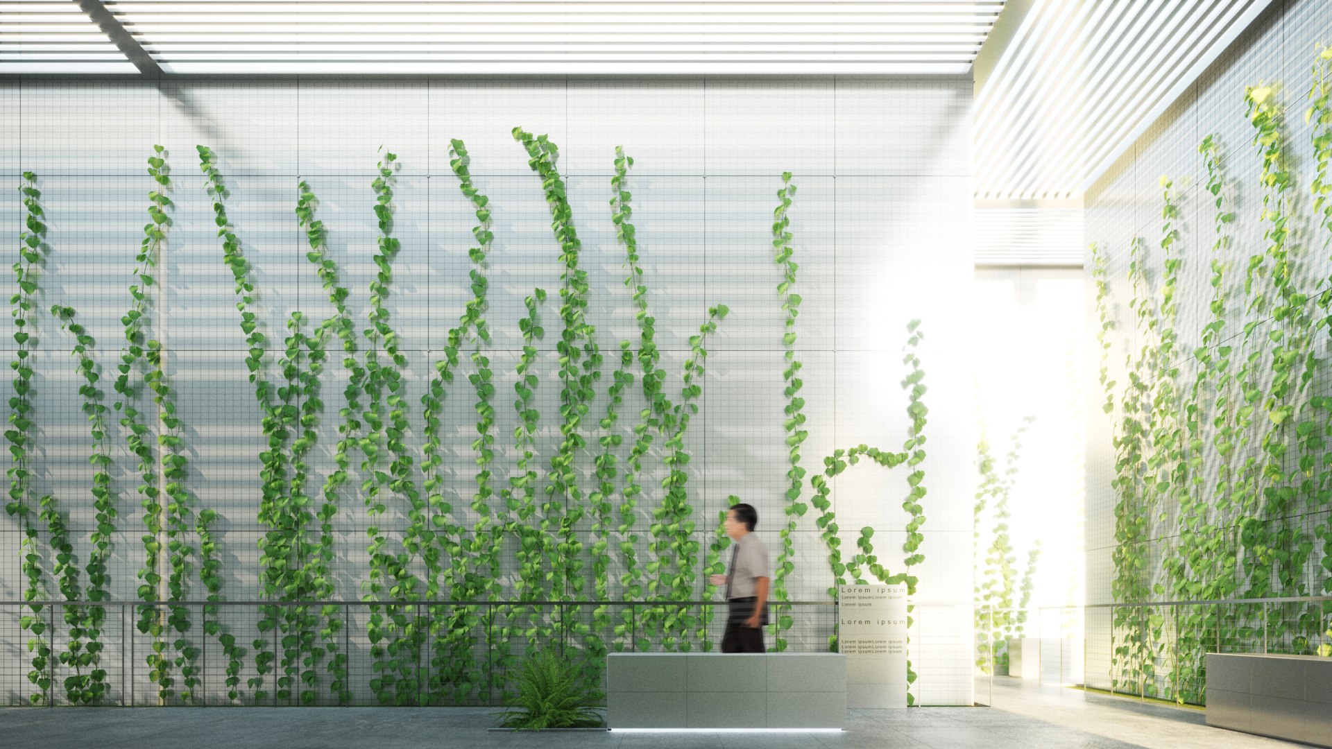 3D Dutchmans Pipe Climbing On Wall Model - TurboSquid 1793242