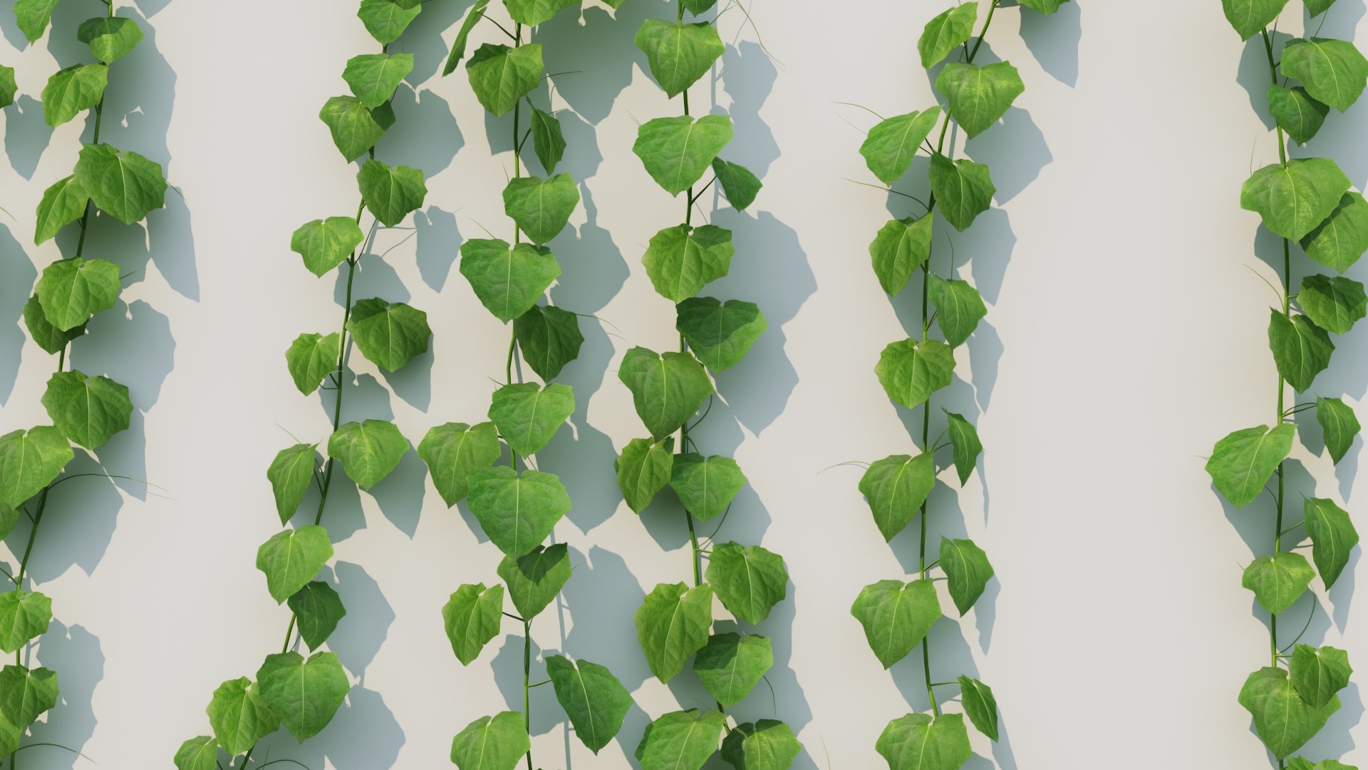 3D Dutchmans Pipe Climbing On Wall Model - TurboSquid 1793242