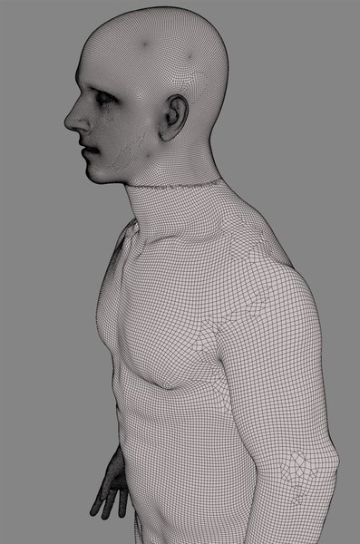 modelo 3d 3d basemesh male - TurboSquid 1965908