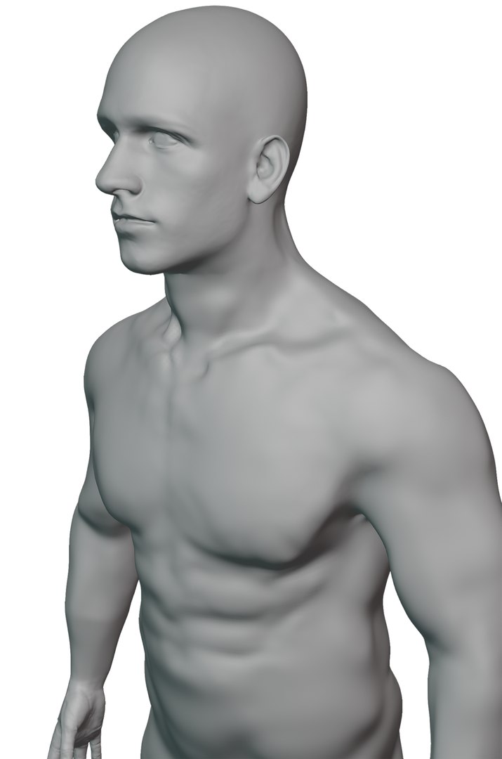3d Basemesh Male Model - TurboSquid 1965908