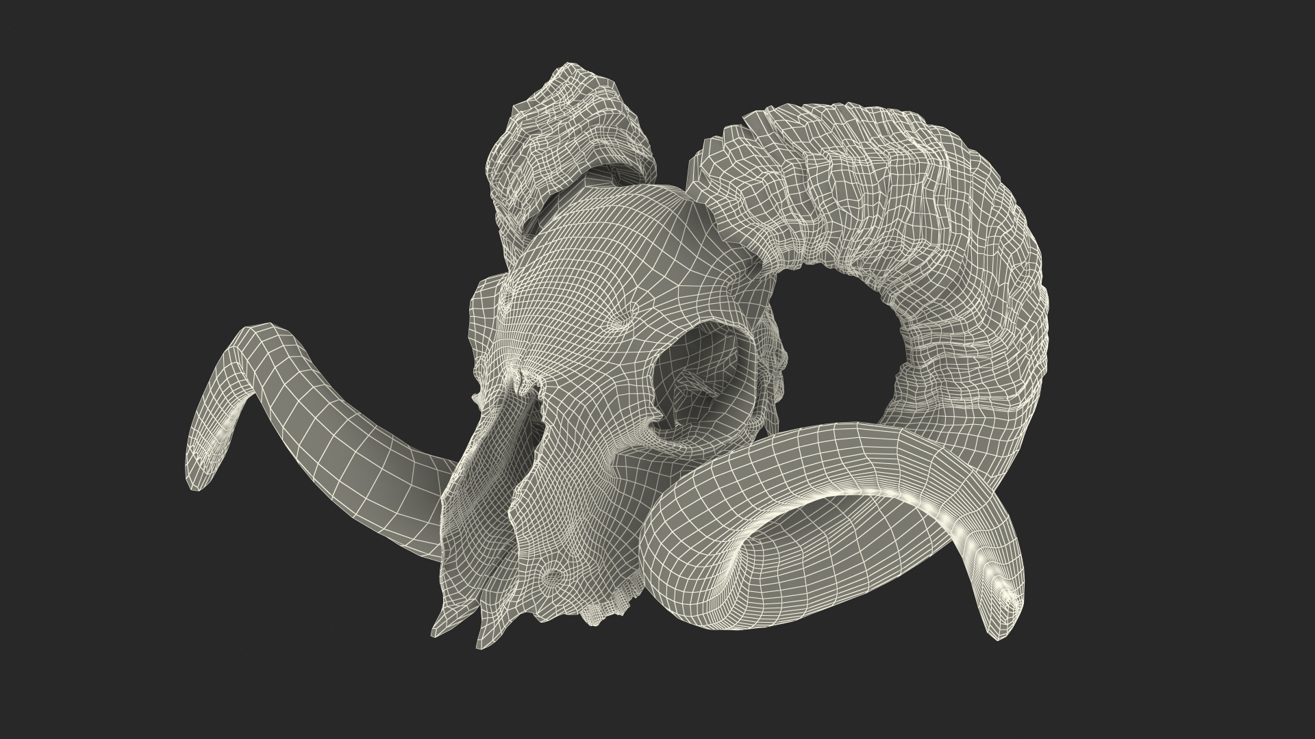 Ram Skull With Dark Horns 3D Model - TurboSquid 1953191