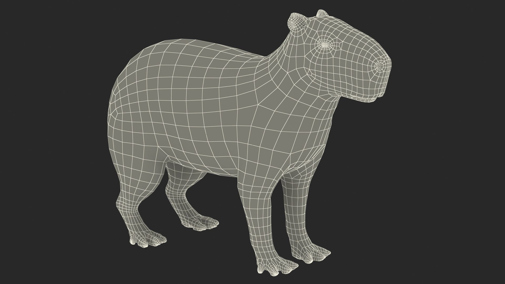 Capybara Rigged 3D Model - TurboSquid 1944888