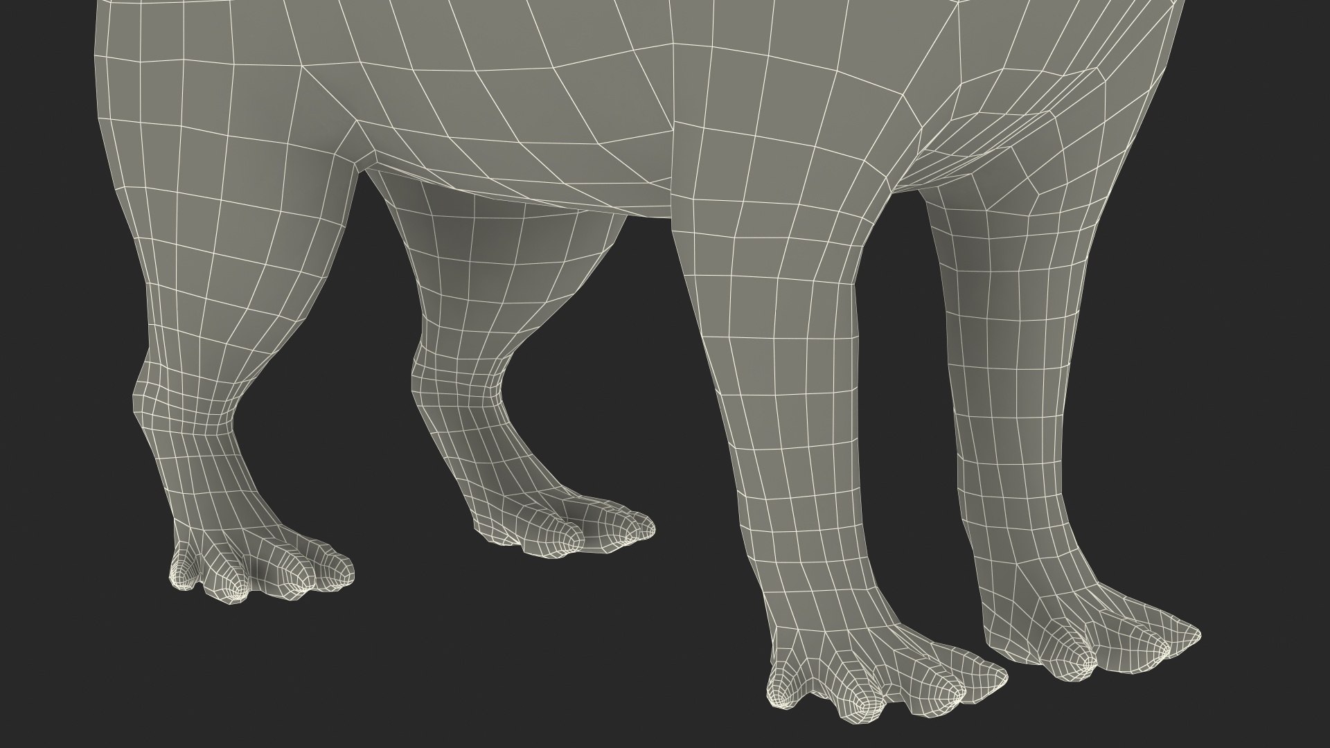 Capybara Rigged 3D Model - TurboSquid 1944888