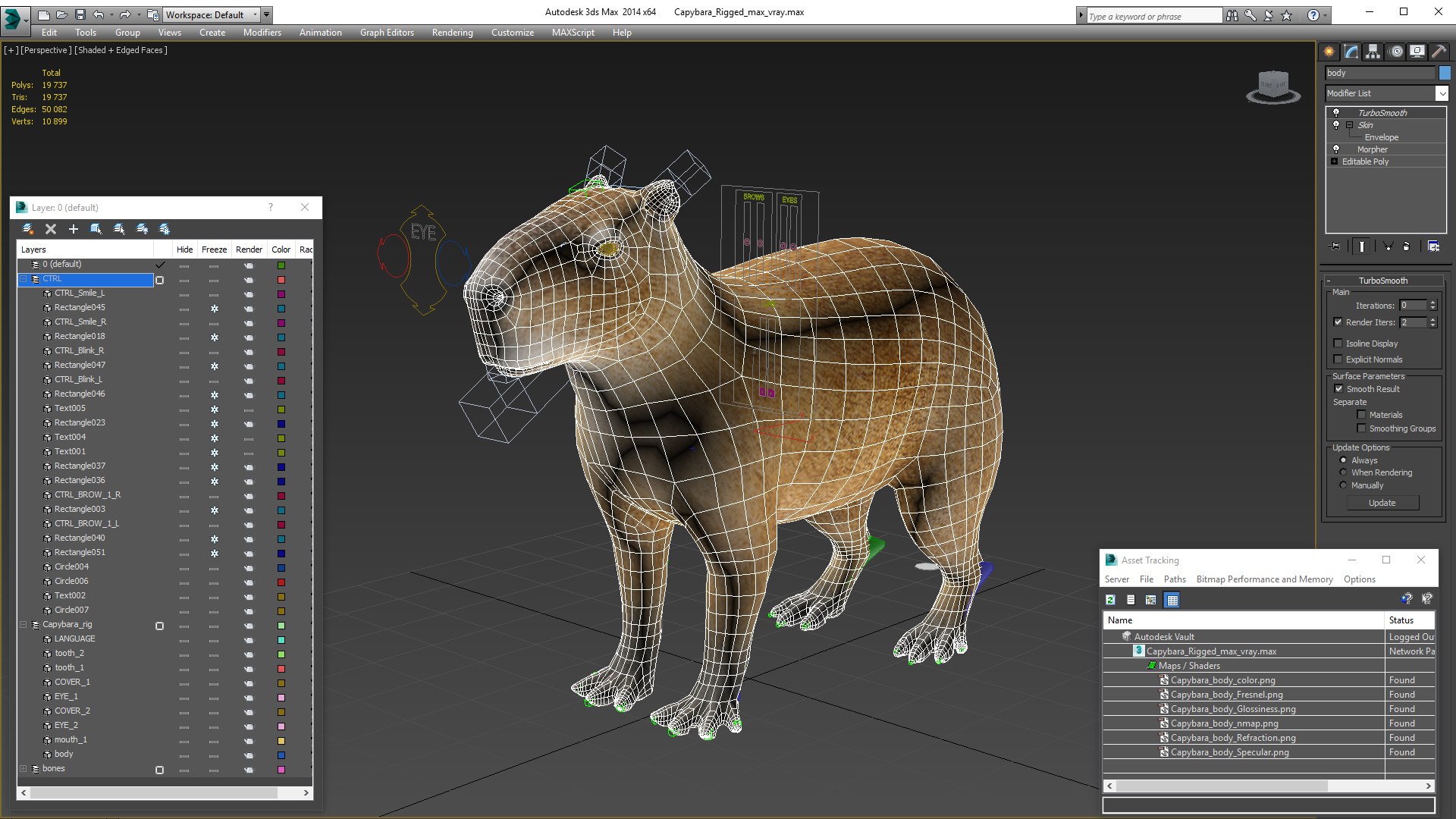 Capybara Rigged 3D model - TurboSquid 1944888
