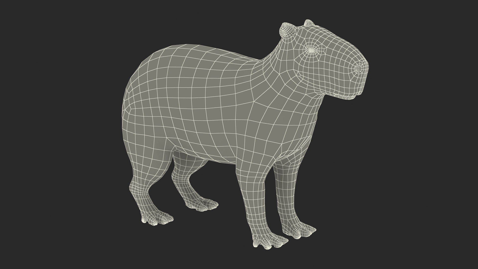 Capybara Rigged 3D Model - TurboSquid 1944888