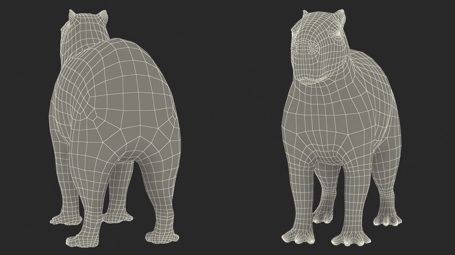 Capybara Rigged 3D Model - TurboSquid 1944888