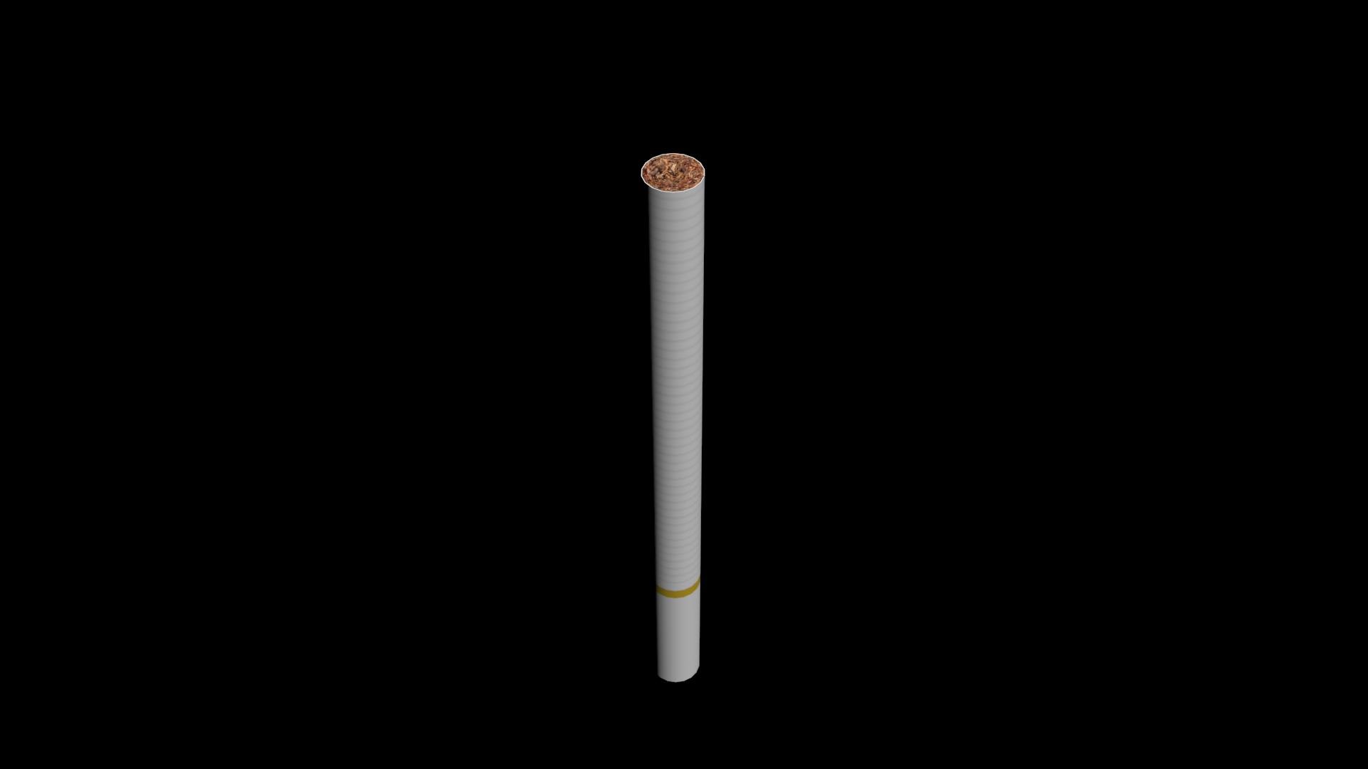 Cigarette Cigaret Cigare 3d Model