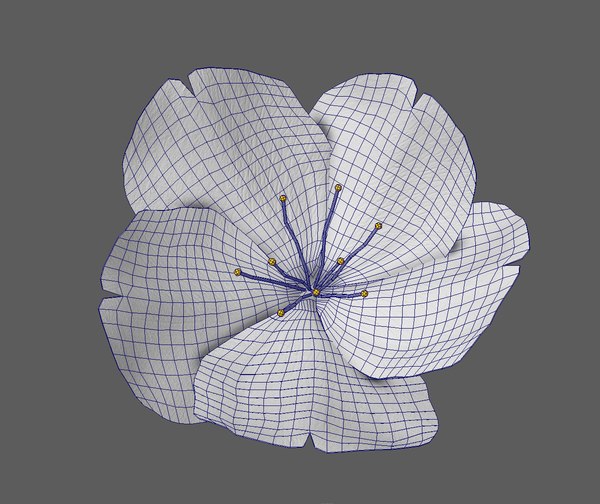 Petal 3D Models for Download | TurboSquid