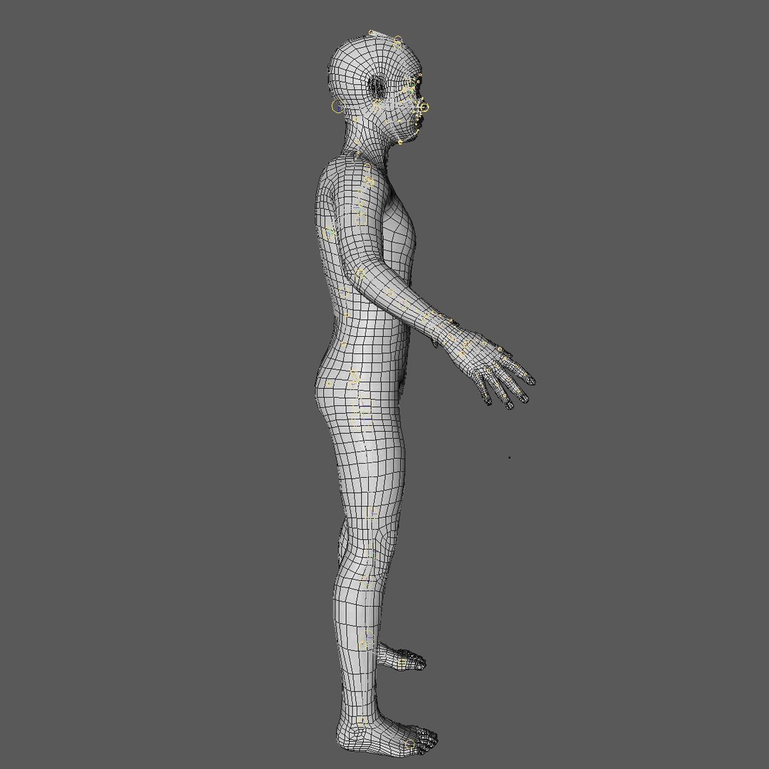 C4d Base Mesh 15 Year