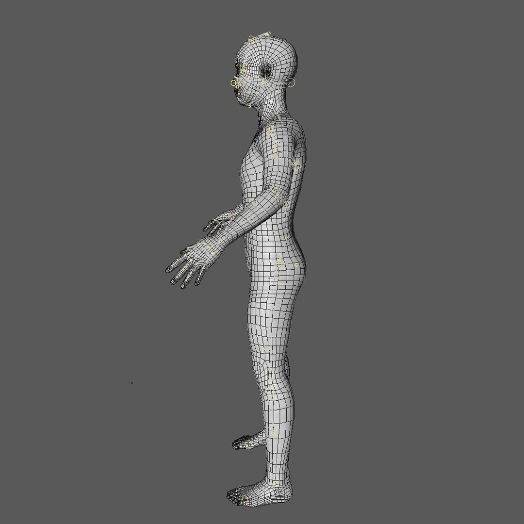 C4d Base Mesh 15 Year