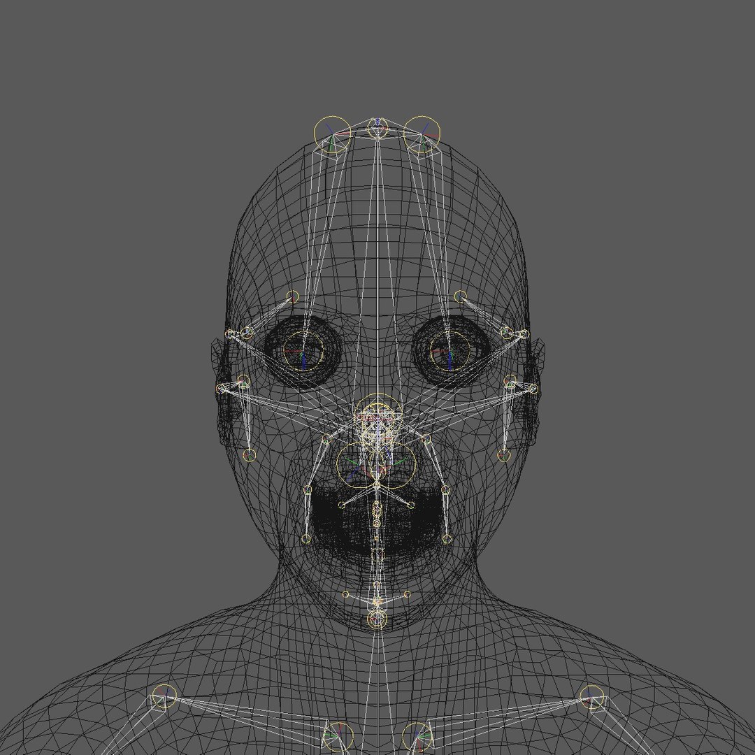 C4d Base Mesh 15 Year