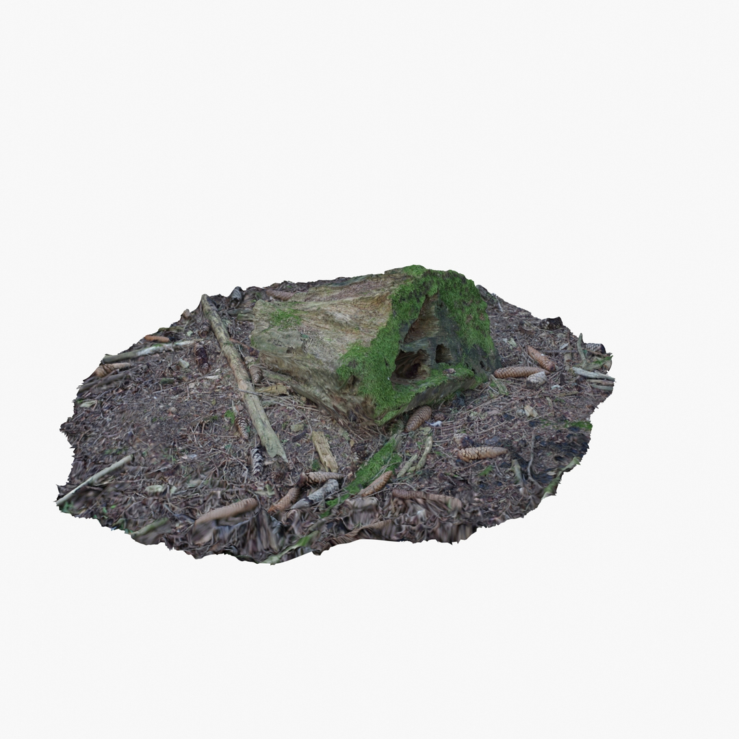 3d Realiscan Photogrammetry Small Stump