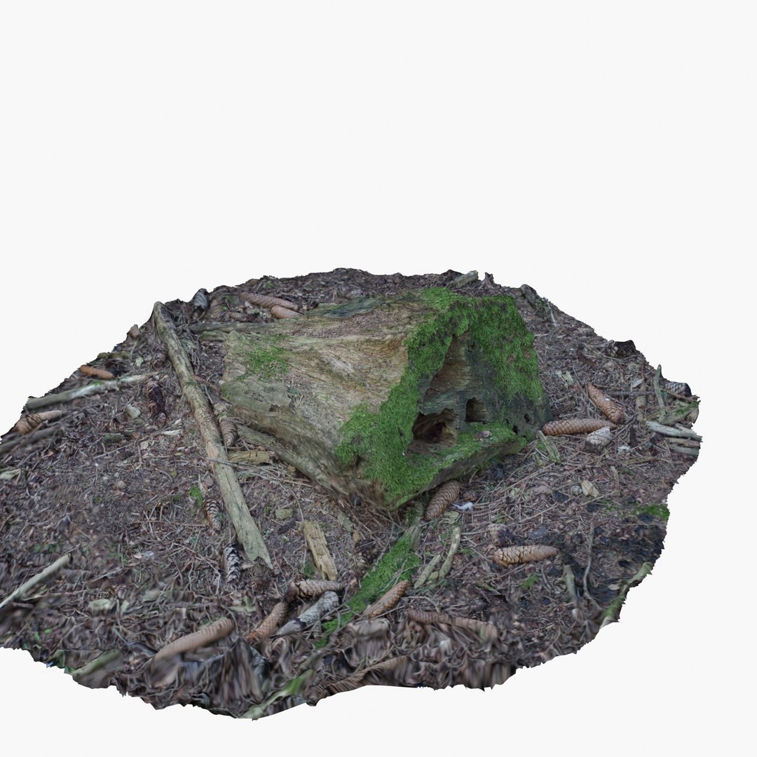 3d Realiscan Photogrammetry Small Stump