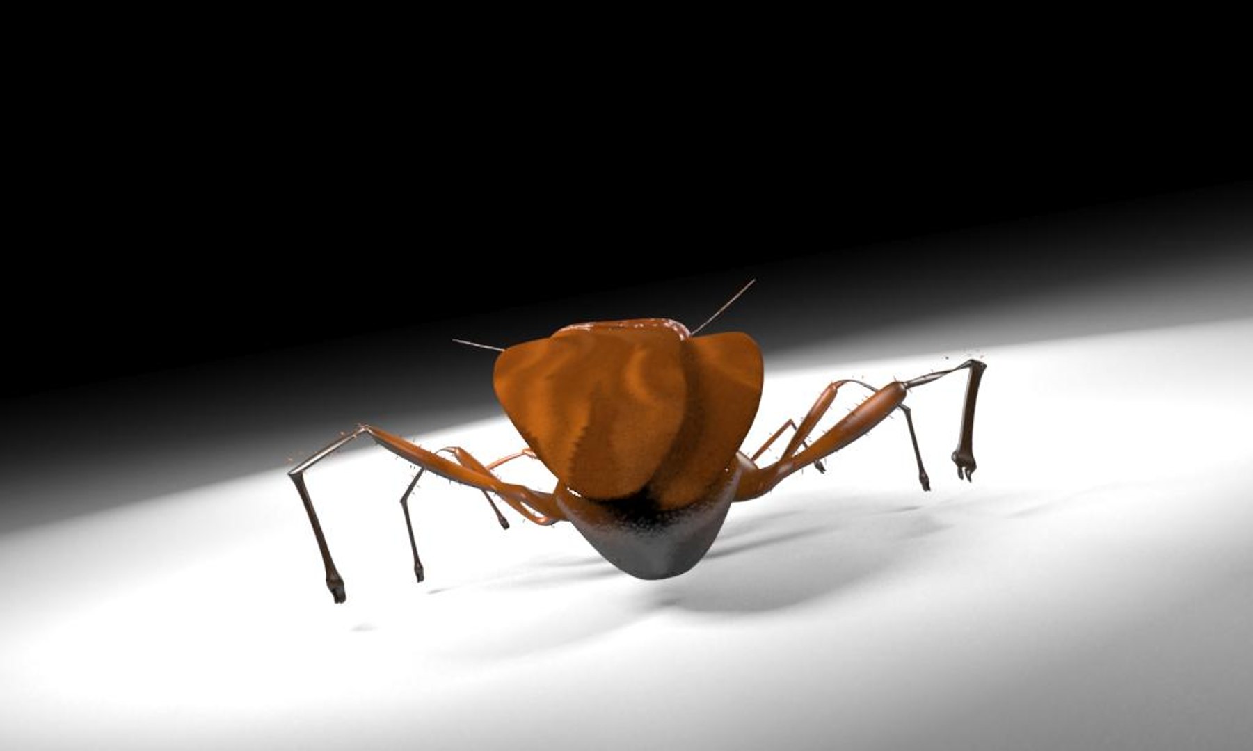 Cockroach Rigged 3d Model
