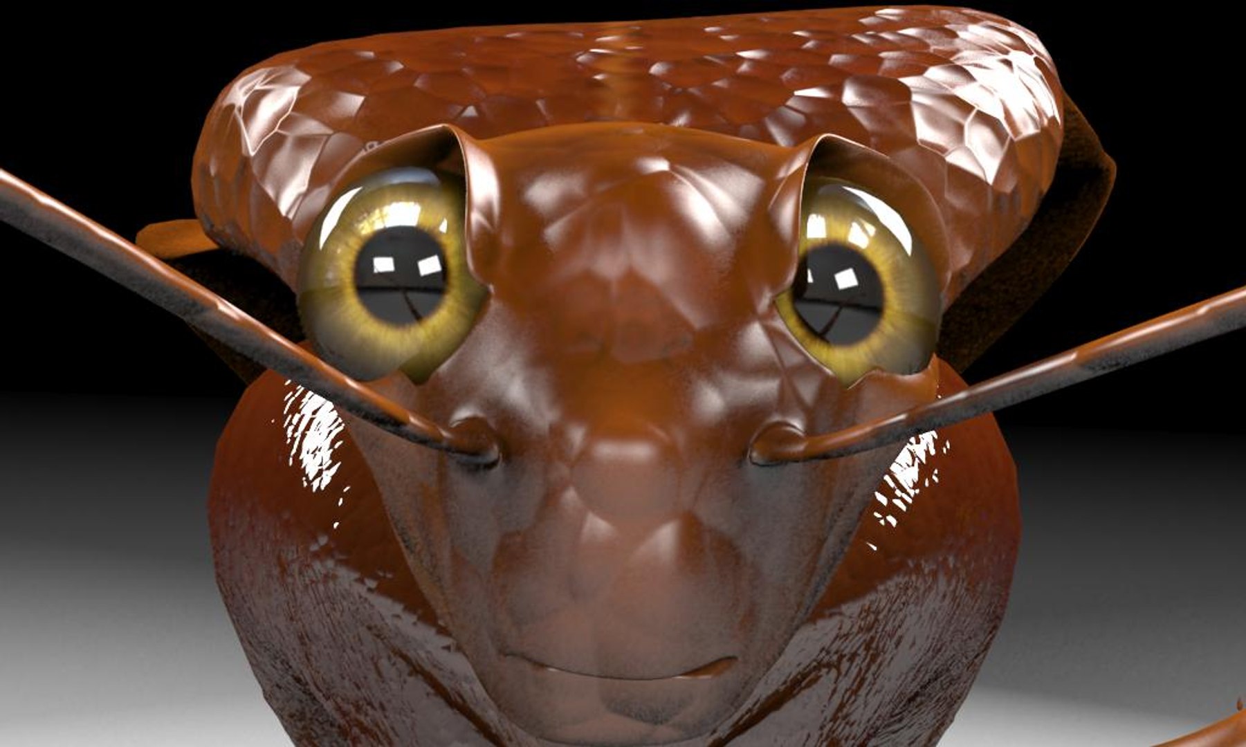 Cockroach Rigged 3d Model