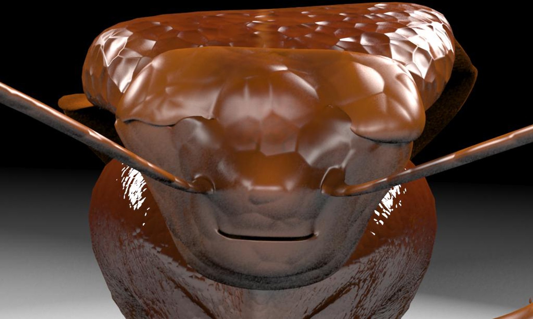 Cockroach Rigged 3d Model