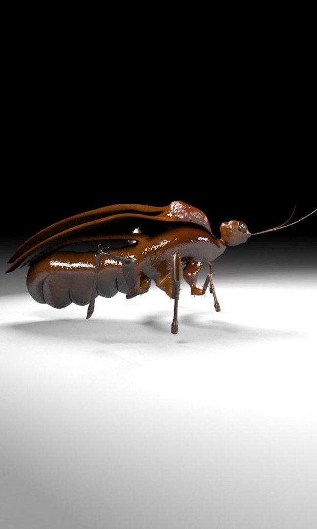 Cockroach Rigged 3d Model