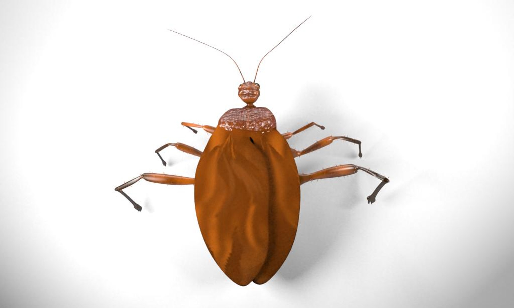Cockroach Rigged 3d Model