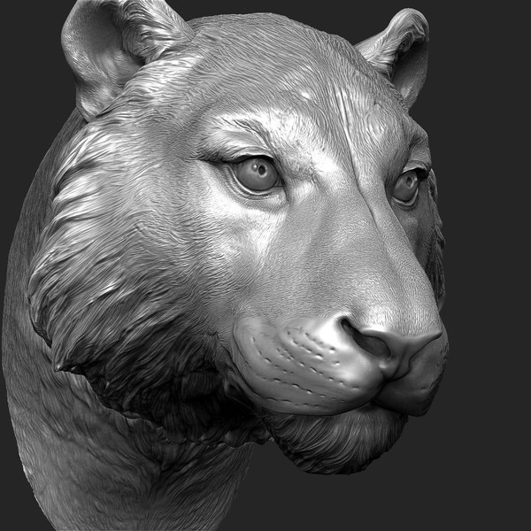 Fox head realistic 3D model - TurboSquid 1290567