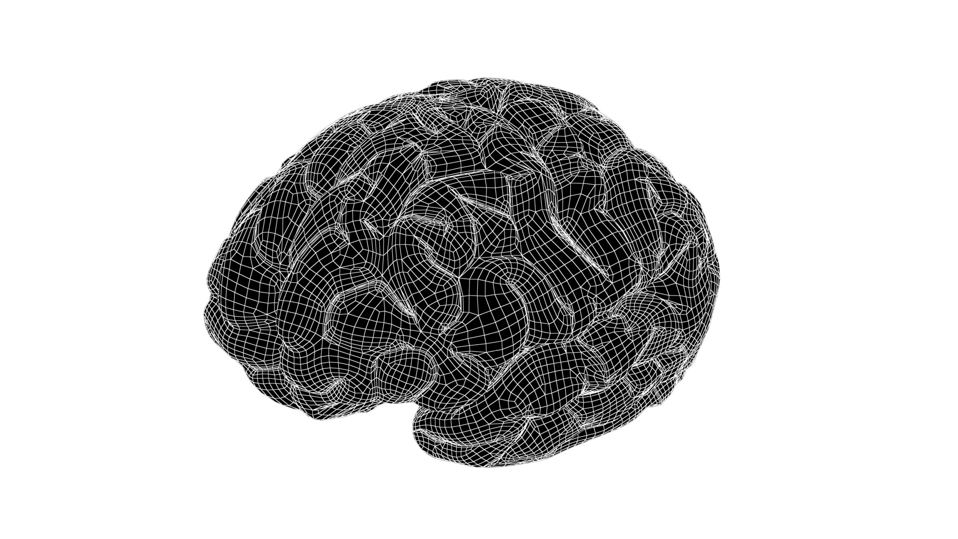 3D Model Brain - TurboSquid 2073985