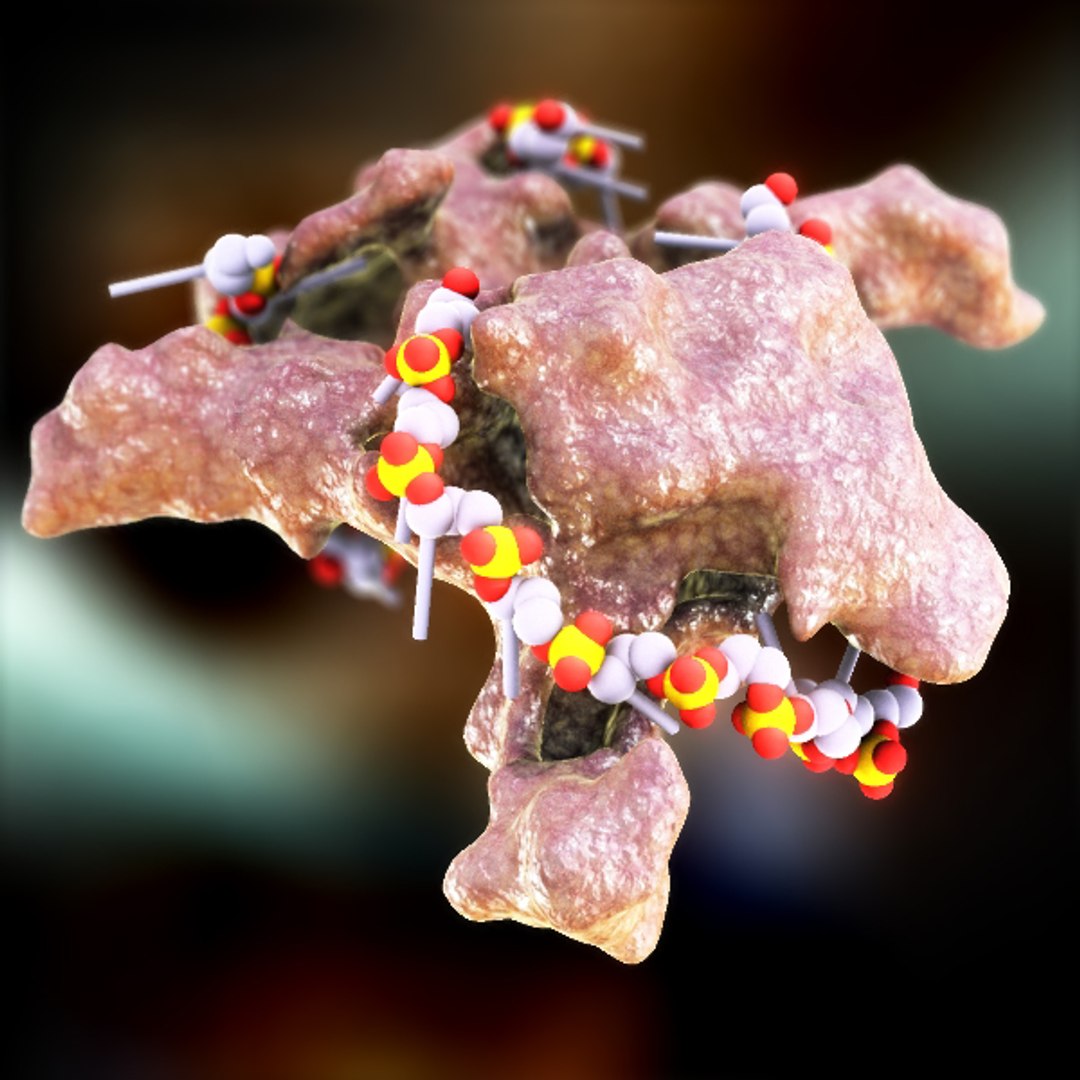 dna binding protein max